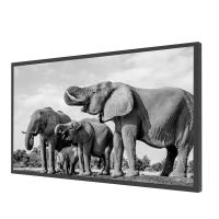 China VETO 31.5 Inch Color E Ink Digital Advertising Display with 6-Color Support and Ultra-Low Power Consumption for sale