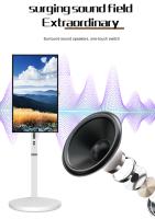 China VETO 32 Inch 4K Resolution Portable Touch Screen Display with Battery for Video Learning for sale