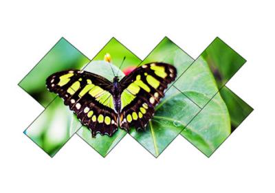 China 55 Inch Wall Mount LCD Video Wall 1920x1080 Resolution 1.7mm Narrow Bezel 500cd/m² Brightness for sale