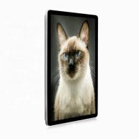 China 21.5 inch multi function touch screen dust proof video digital signage wall mount kiosk for sale