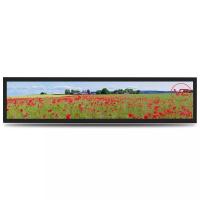China 24 28 Inch TFT Ultra Wide LCD Signage Stretched Bar Advertising Display for sale