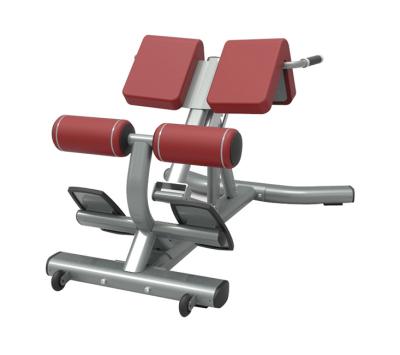 China Glide Roman Chair U+PL1038 Convertible High Capacity Verified Easy Move Narrow Grip for sale