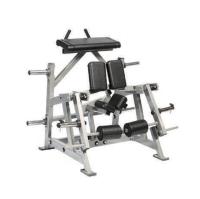 China Shielded Iso Arm Kneeling Leg Curl Machine U+H1021 Lever Action Robust Aligning for sale