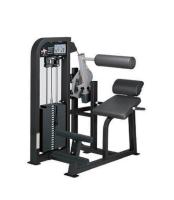 China Titanium Strength Gym Equipments Back Extension Machine U+H2010 Easy Move for sale