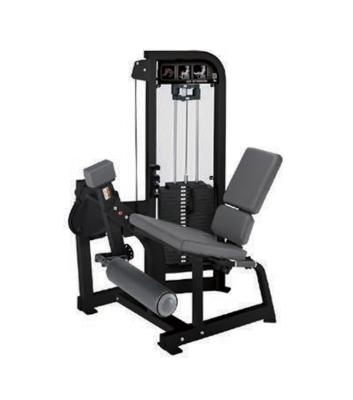 China Nylon Thigh Extension Machine U+H2014 Progressive Cable Driven Linear Motion for sale