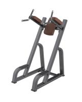 China ISO Parallel Bar Knee Raise U+B8037 Compliant Complete Motion Stepless for sale