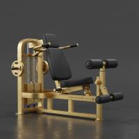 China Brass Seated Abdominal Machine U+H2009 Adjustable Seat Zero Play Multi Station for sale