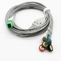 China 12 Pin Connector ECG Cable AHA Compatible For Mindray Datascope Passport V V12 V21 for sale