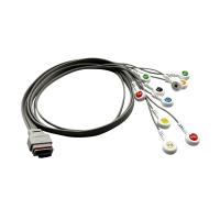 China Nihon Kohden Holter ECG Cable 10lead For  Recorder RAC-2512  1m TPU Jacket for sale