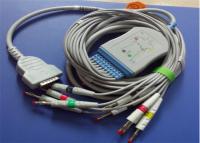 China GE Marquette EKG Cable 10lead With Banana 4.0 2029893 001 With TPU for sale