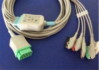 China Patient Ge Ecg Cables , 5 Lead GE One Piece ECG Cable CE / ISO Standard for sale