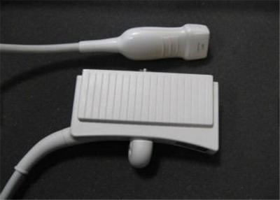 China Acuson Ultrasound Probes  , 4V1 Vector Array Ultrasound Machine Probes for sale