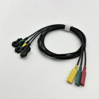 China IVY 3 LEAD RT Lead Wires 590484 For Model 3000 3150 2-pin Connector Black for sale