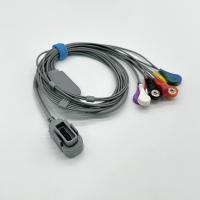 China NORAV 10 Lead ECG Holter Cable With Snap Ends 20pin Connector for sale