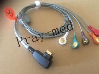 China 19 Pin Snap ECG Patient Cable 5 / 10 Lead DMS 300 System Holter Compatible Patient Safety for sale