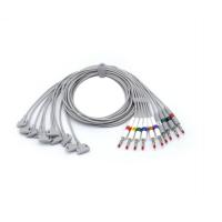 China 10 Leads ECG EKG Leadwires For Pagewriter Trim 4.0 Banana 0.9m 989803129161 for sale