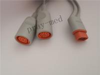 China Drager SC6002 XL Dual IBP Converter cable, IBP adaptor cable 16pin for sale