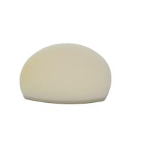 China GE Foam Dust Filter Reusable CO2 Absorber Canister 2105489-001 for sale
