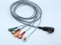 China DMS Holter ECG Patient Cable 5 / 7 / 10 Lead 19 Pin With 6 Month Warranty for sale