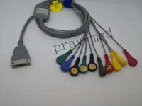 China Copper Conductor ECG Patient Cable , TPU ECG Holter Cable 10/12 Lead With Snap for sale