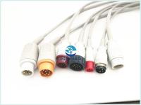 China GE Datex Ohmeda  Ibp Cable 10 Pin Connector Grey HP Ibp Cable 3M for sale