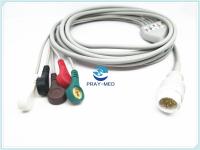China HP 12 Pin 5 Lead Ecg Cable One Piece Type Double Shield Structures TPU Jacket 3.6m for sale