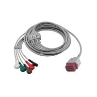 China Medical Grade One-Piece 12-Pin ECG Patient Cable for Bionet, 3/5 Lead, Snap/Clip/Infant Clip for sale