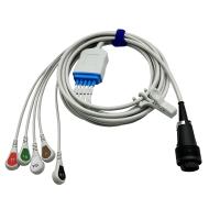 China HEYER 8 Pin 5 Lead One Piece ECG Cable, IEC Snap Electrode for sale