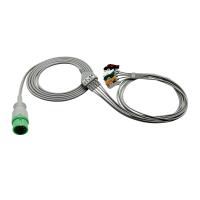 China Compatible Biolight 12 Pin ECG Cable, 3 Lead & 5 Lead, Snap Buttons / Alligator Clips, AHA (US Standard) & IEC (EU Standard) Patient Monitor ECG Leadwire for sale
