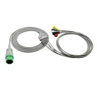China Compatible Biolight 12 Pin ECG Cable, 3 Lead & 5 Lead, Snap Buttons / Alligator Clips, AHA (US Standard) & IEC (EU Standard) Patient Monitor ECG Leadwire for sale