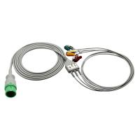 China Compatible Biolight 12 Pin ECG Cable, 3 Lead & 5 Lead, Snap Buttons / Alligator Clips, AHA (US Standard) & IEC (EU Standard) Patient Monitor ECG Leadwire for sale
