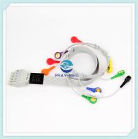 China Contec Dynamic ECG System Hotler Monitor Connector Cable For 10 Lead TLC5000 / TLC9803 for sale