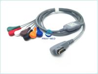 China DMS HDMI 1.1m 7 Lead Ecg Cable TPU Jacket DMS300-4A DMS300-3A for sale