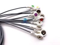 China Beneware 10 Leads ECG Holter Cable with CE And ISO13485 For Beneware CT-086 for sale