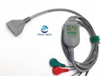 China Burdick Holter Ecg Cable and leadwire 7 Leads Snap Connector 3.6m for sale