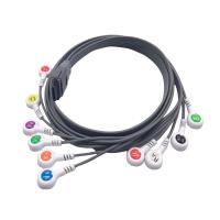 China Biomedical Instruments BI Ecg Holter Cable For GE Edan Nihon Kohden for sale
