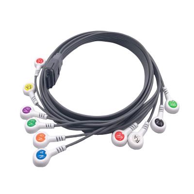 China Biomedical Instruments BI Ecg Holter Cable For GE Edan Nihon Kohden for sale