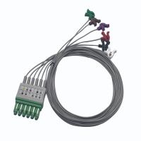 China drager Infinity 6 leads ECG leadwire with neonate clip for sale
