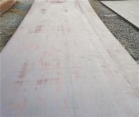China Hot Rolled S235jr 16mo3 13crmo4-5 Mild Carbon Steel Plate Price for sale