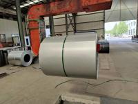 China Width 600-1500mm Galvanized Steel Coils Hot Dipped Regular Spangle for sale