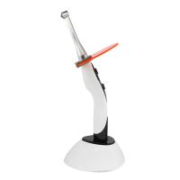 China B Type Digital Wireless dental materials curing machine LED Blue light dental filling Teeth whitening equipment for sale