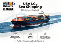 China LCL Sea Freight Transportation Customs Clearance Global Coverage Real Time Tracking for sale