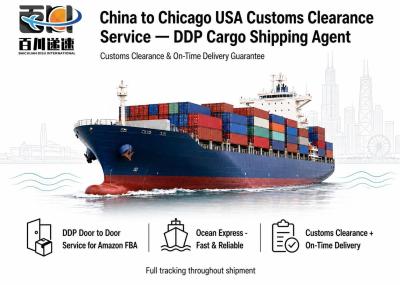 China China to Chicago USA Customs Clearance Service DDP Cargo Shipping Agent for sale