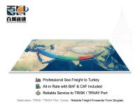China Professional Sea Freight To Turkey TRISK / TRHAY Port All-in Rate With BAF / CAF Additional Charges Included for sale
