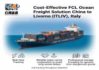 China Cost-Effective FCL Ocean Freight with 30-45 Days Transit and 24/7 Multilingual Support from China to Livorno for sale