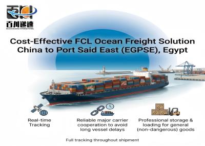 China Cost-Effective FCL Ocean Freight to Port Said East with 24/7 Multilingual Support for sale
