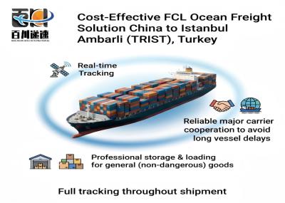China Cost-Effective FCL Ocean Freight with 24/7 Multilingual Support and 30-45 Days Transit to Istanbul for sale