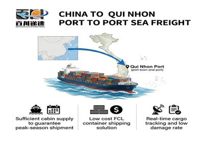 China Professional Freight Forwarder Full Container Ocean Shipping from China to Qui Nhon Port for sale