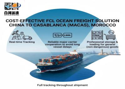 China Cost-Effective FCL Ocean Freight with 24/7 Multilingual Support and 30-45 Days Transit to Casablanca for sale