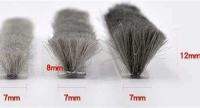 China Dustproof and Weatherproof Weather Stripping for Wardrobes 7*6mm Black/Gray/Brown/White for sale